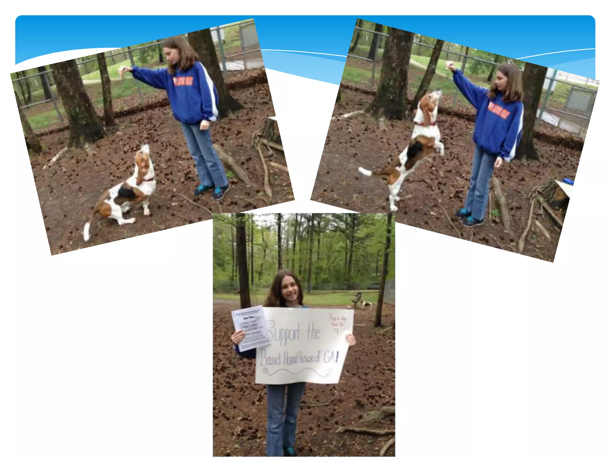 Passion project final presentation ppt | PPTX | Classical Music | Music