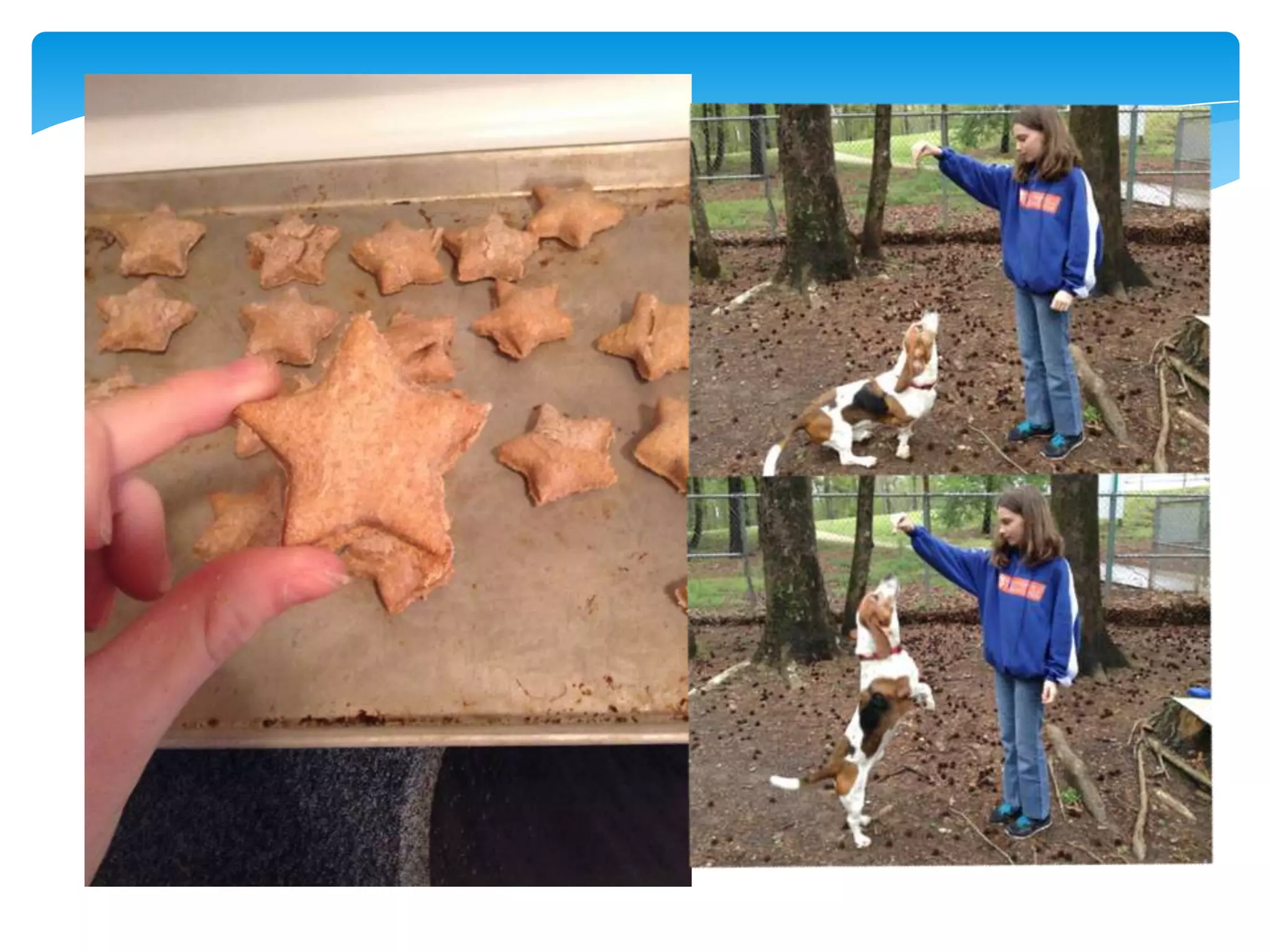 Passion project final presentation ppt | PPTX | Classical Music | Music