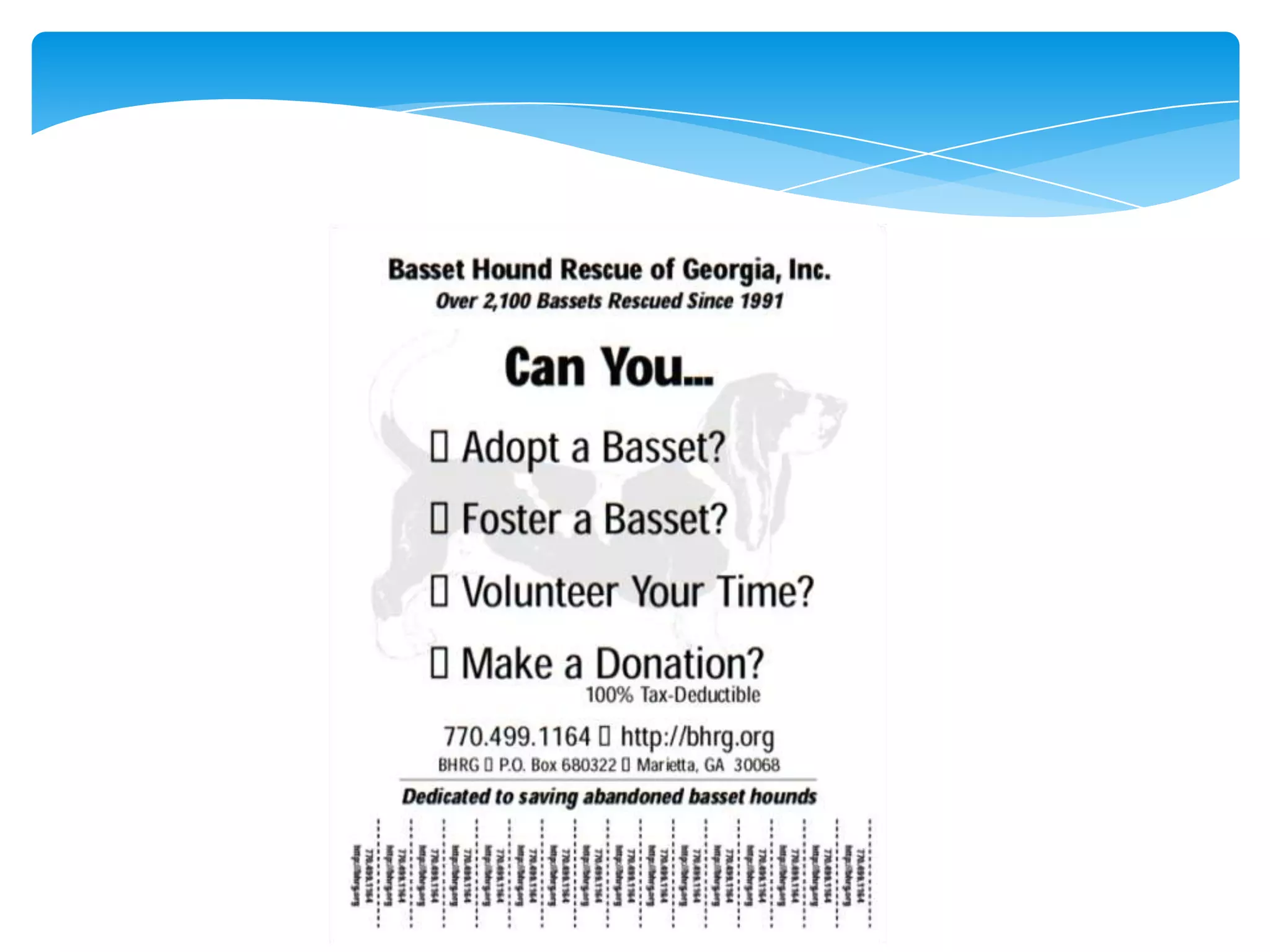 Passion project final presentation ppt | PPTX | Classical Music | Music