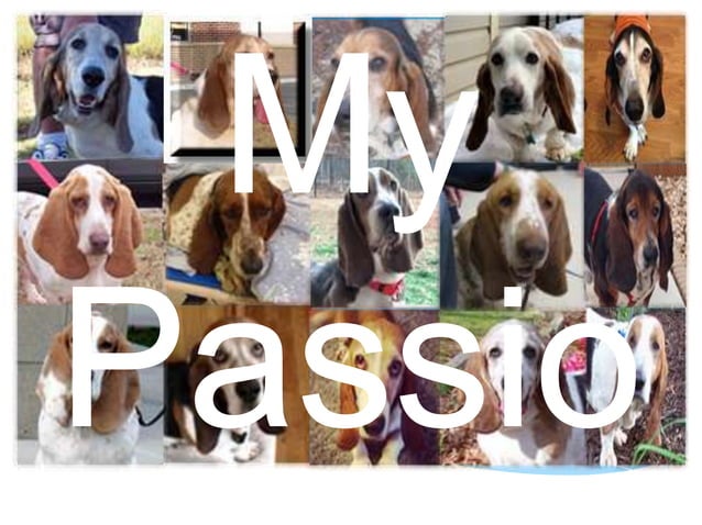 Passion project final presentation ppt | PPT