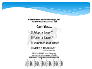 Passion project final presentation ppt | PPT