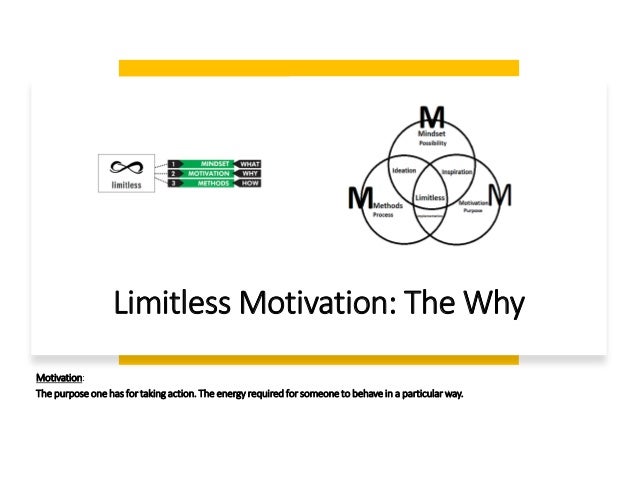 Building a Strong & Sustainable Company: Limitless Motivation | PDF