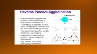 Passive agglutination | PPTX