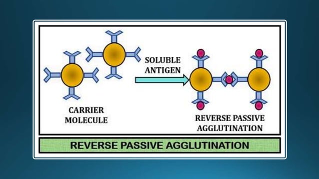 Passive agglutination
