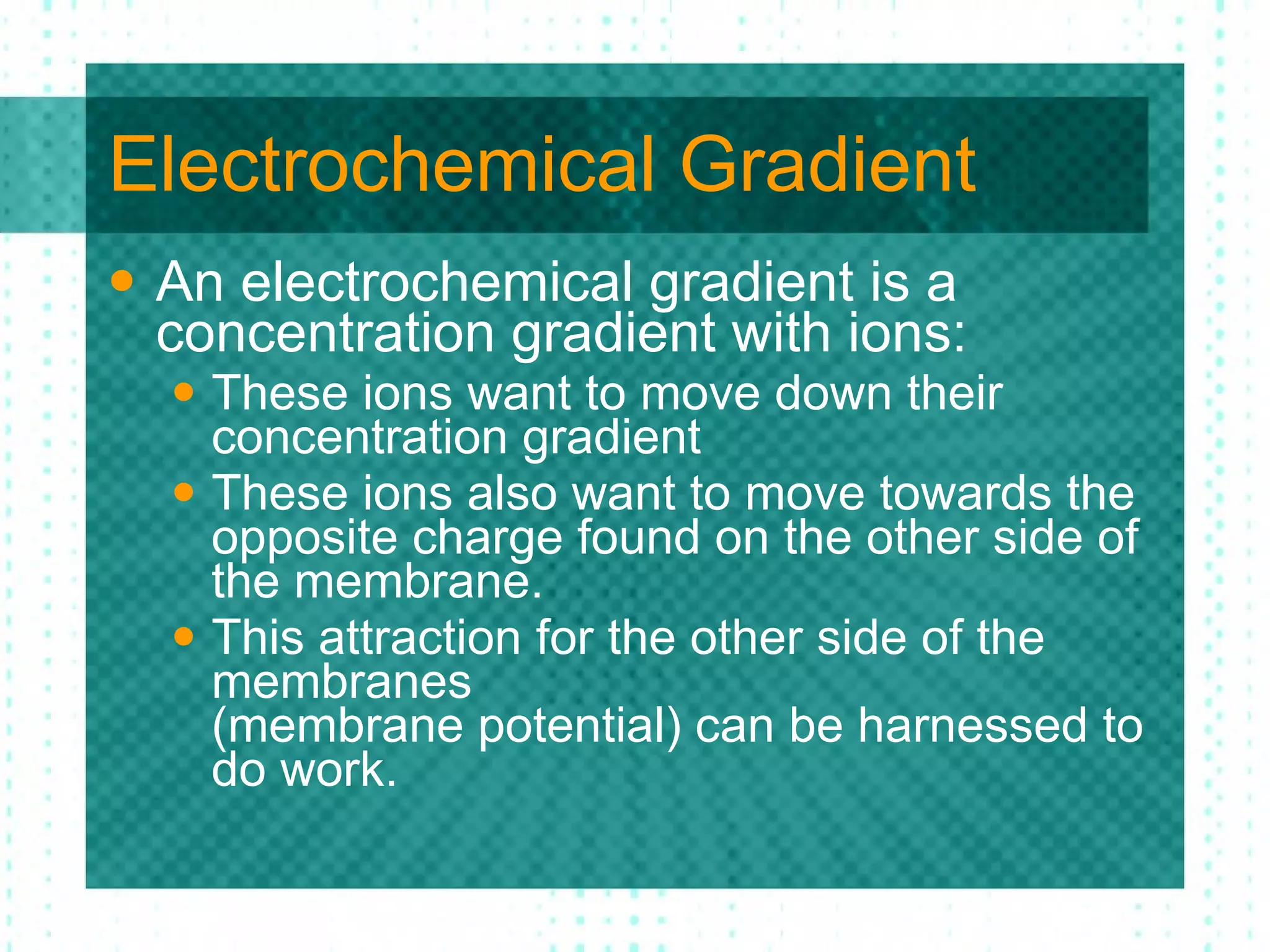 Passive and Active Transport | PPT