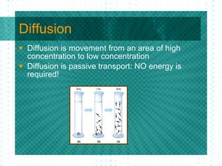 Passive and Active Transport | PPT