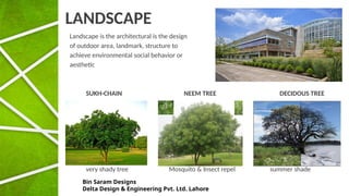 Passive Design Techniques Presentation Bin Saram Designs | Delta Design ...