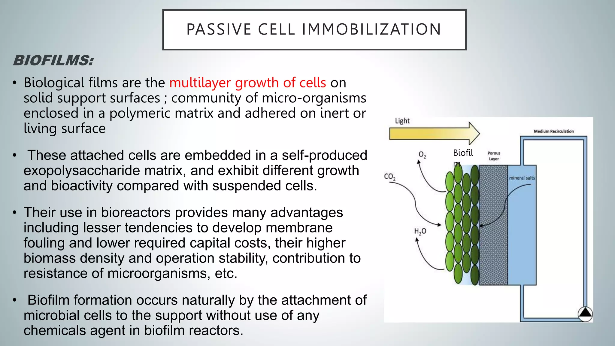 Passive immobilization1.pptx