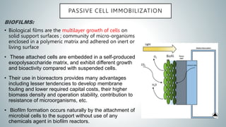Passive immobilization1.pptx