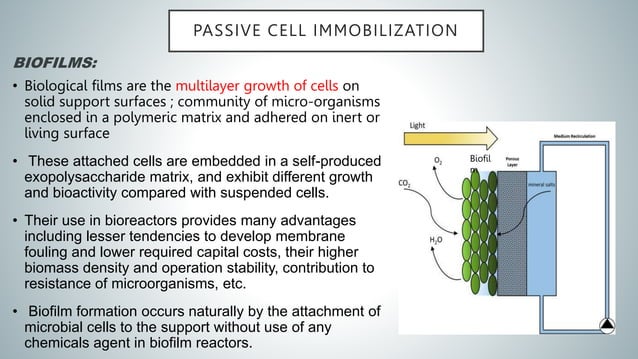 Passive immobilization1.pptx