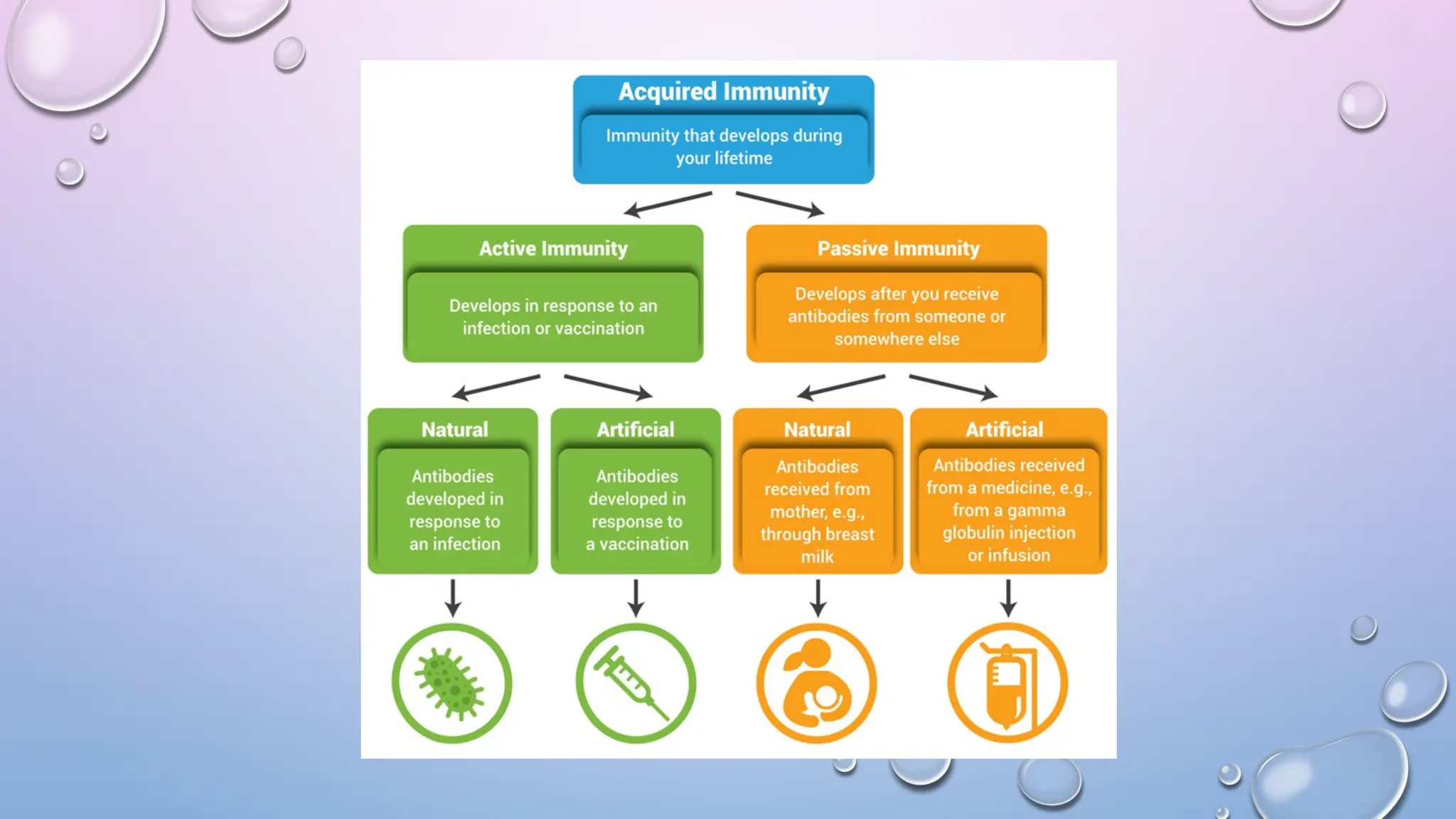 PASSIVE IMMUNITY AND THE MECHANISM OF ACTION OF PASSIVE IMMUNITY.pptx