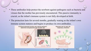 PASSIVE IMMUNITY AND THE MECHANISM OF ACTION OF PASSIVE IMMUNITY.pptx