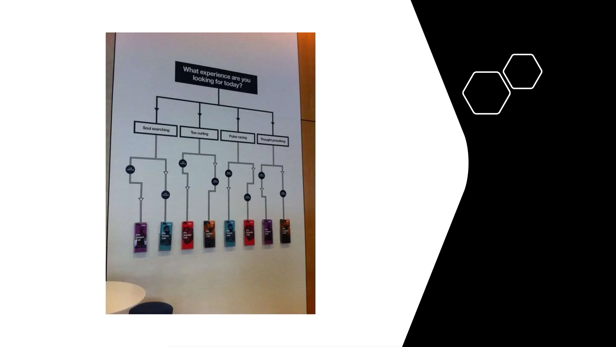 Passive Interactive Programming and Surveys 2.pptx