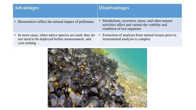 Liquid Passive Sampling Introduction | PPTX | Chemistry | Science