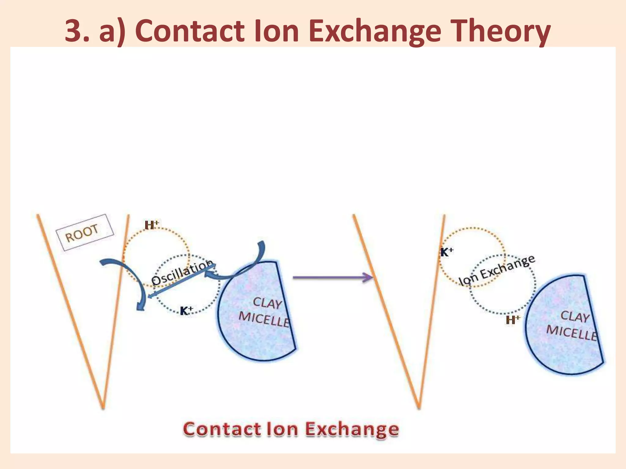 Passive theories of ion absorption | PPTX