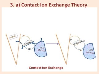 Passive theories of ion absorption | PPTX