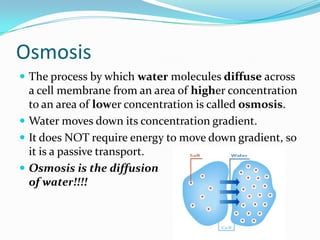 Passive transport | PPTX
