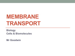 Passive transport | PPTX