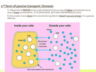 Passive t ransport | PPT