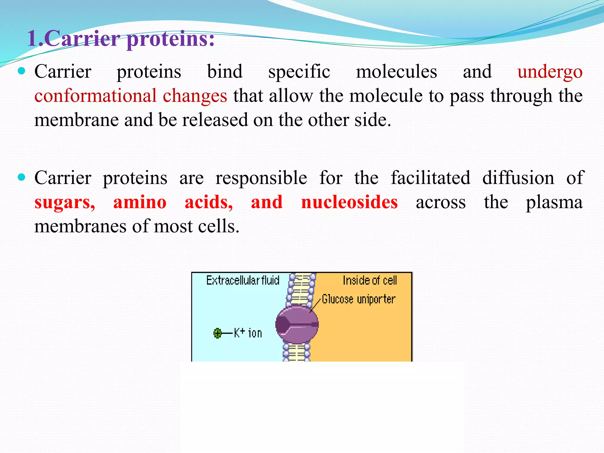 Transport mechanisms Passive transport | PPTX