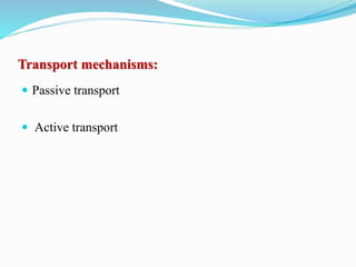 Transport mechanisms Passive transport | PPTX