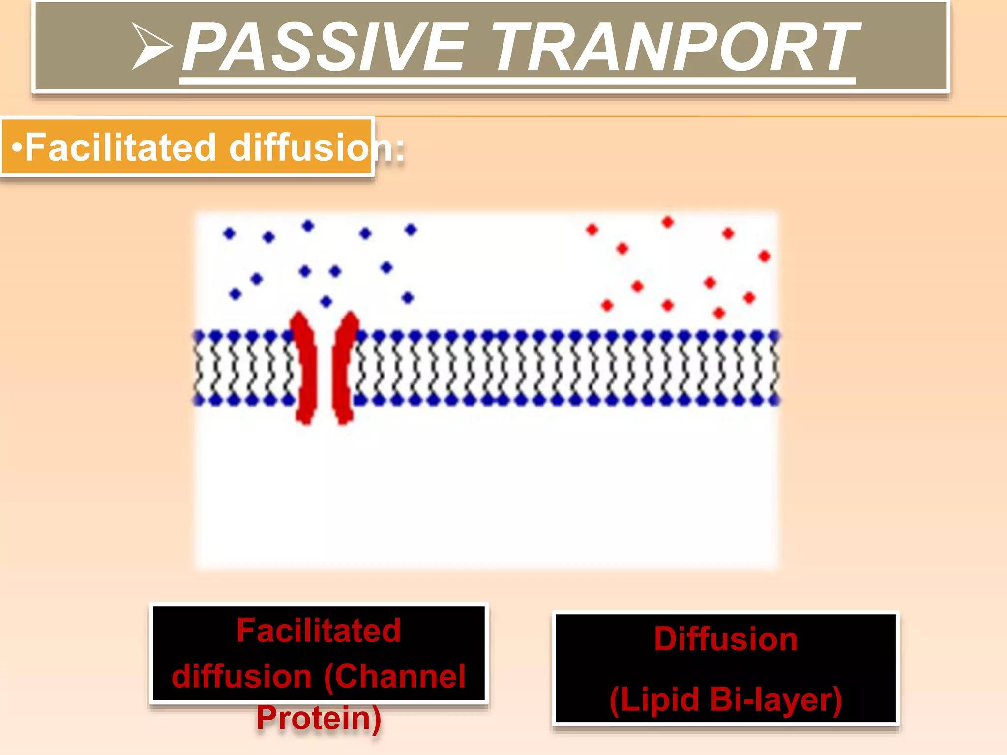 PASSIVE TRANSPORT ACROSS MEMBRANES.pptx