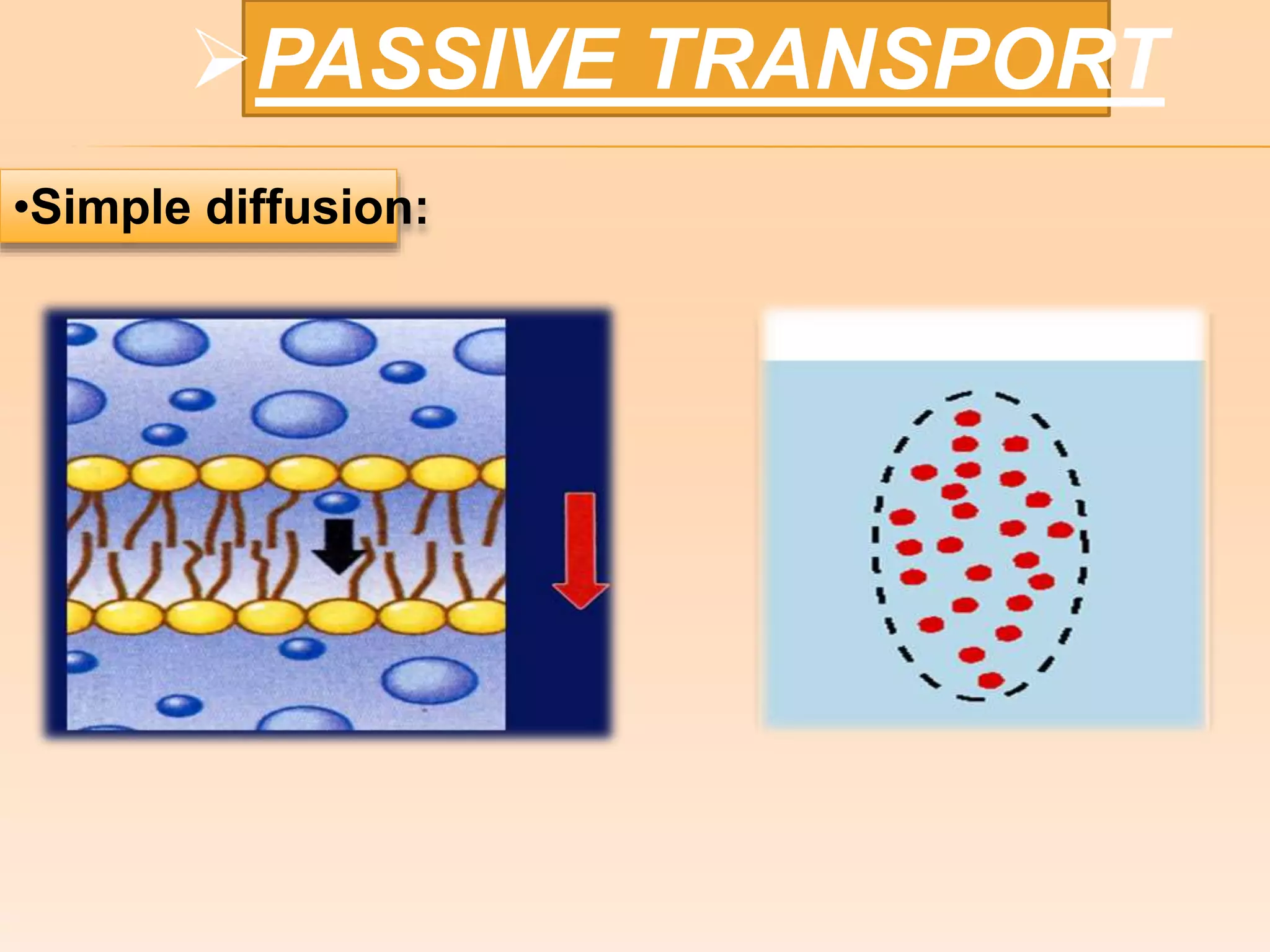 PASSIVE TRANSPORT ACROSS MEMBRANES.pptx