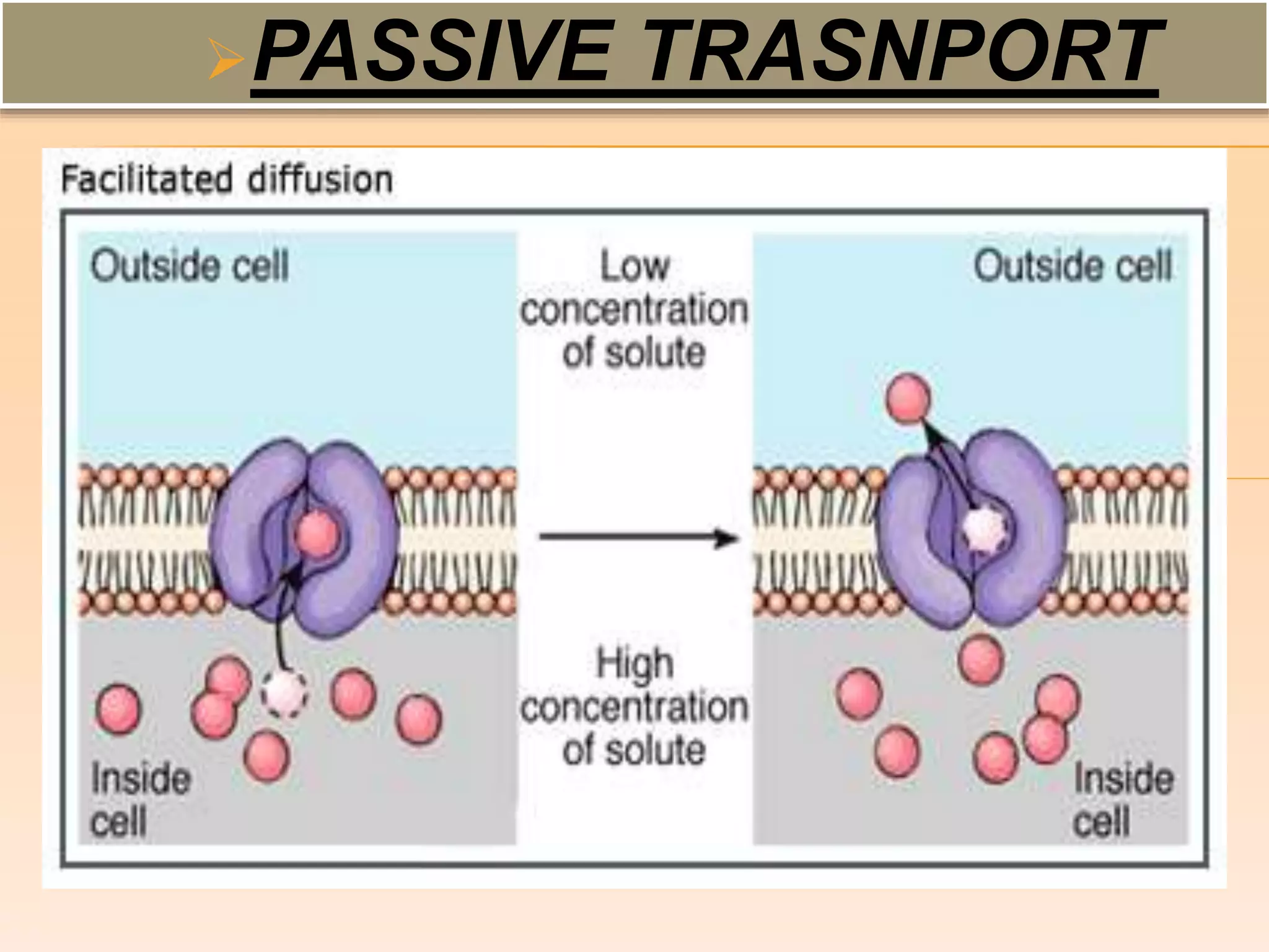PASSIVE TRANSPORT ACROSS MEMBRANES.pptx