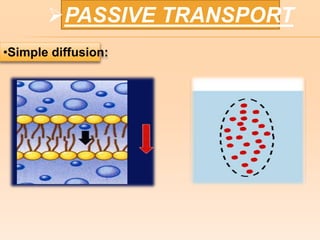 PASSIVE TRANSPORT ACROSS MEMBRANES.pptx