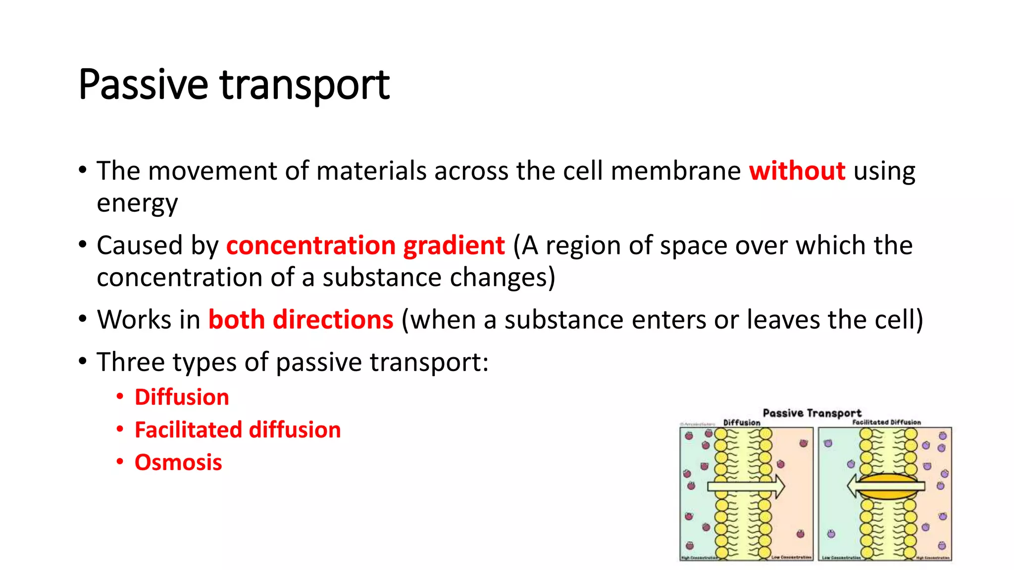 Passive transport.pptx