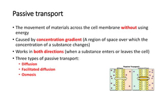 Passive transport.pptx