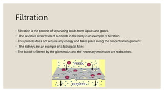 (passive transport) MECHANISM THAT SUBMITTED.pptx