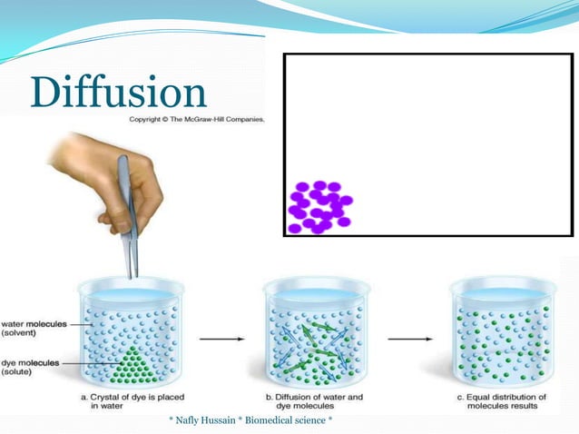 Passive transport | PPT