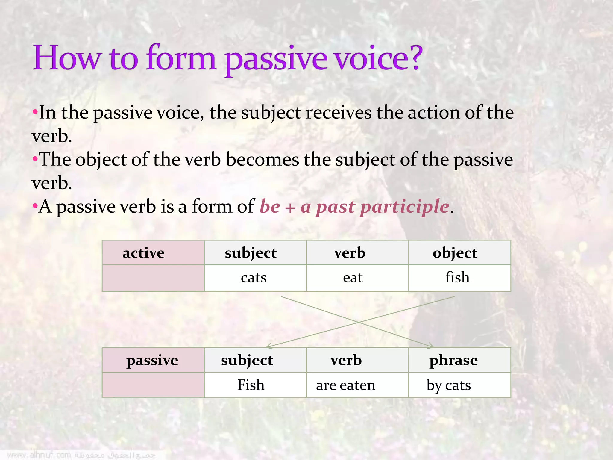 (Grammar) Passive verb forms | PPTX
