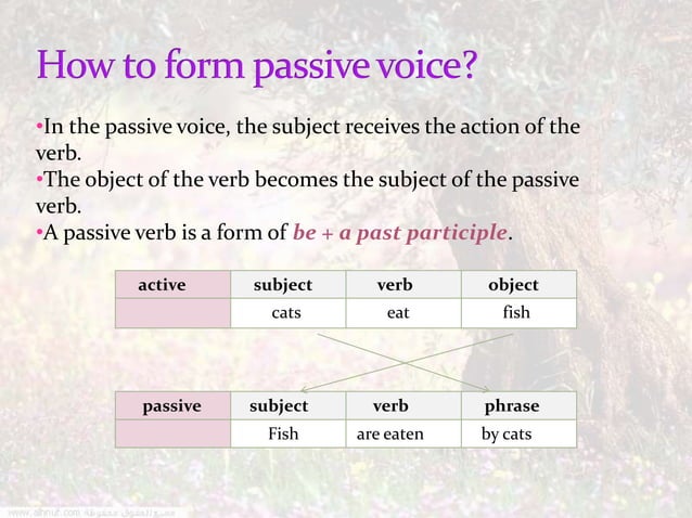(Grammar) Passive verb forms | PPT