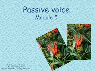 Passive voice | PPT