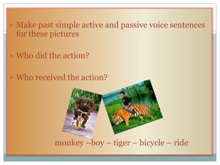 Passive voice revision. Quick revision + activities | PPTX
