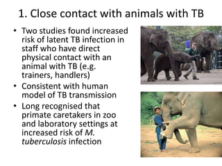 Zoonotic transmission of tuberculosis – the importance of a One Health ...