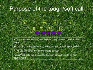 Pass Protection Schemes | PPT