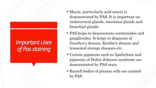 PAS STAIN.pptx