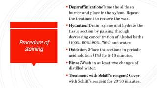 PAS STAIN.pptx