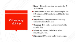 PAS STAIN.pptx