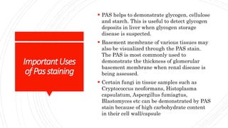 PAS STAIN.pptx | Blood Disorders | Diseases and Conditions