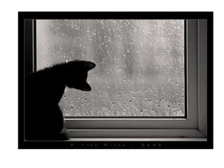 Past continuous-tense2[1] | PPT