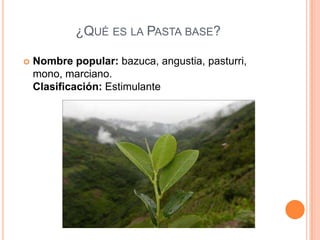 Pasta base | PPTX