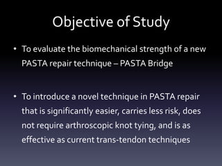 PASTA Bridge - A New Technique in PASTA Repairs: A Biomechanical ...
