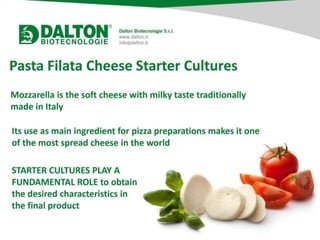 DALTON BIOTECNOLOGIE - Pasta filata cheese | PPTX