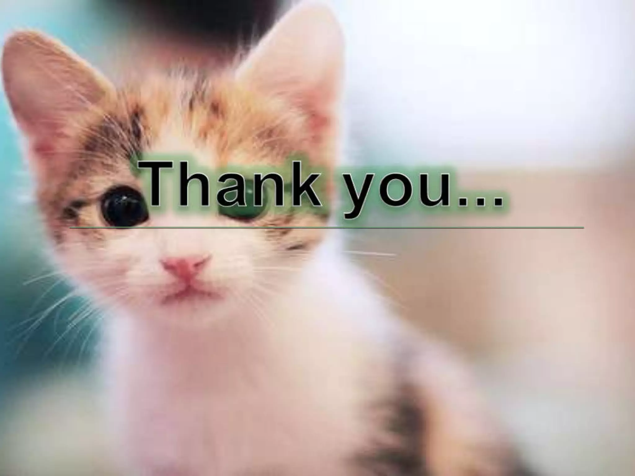 Past continuous tense | PPT