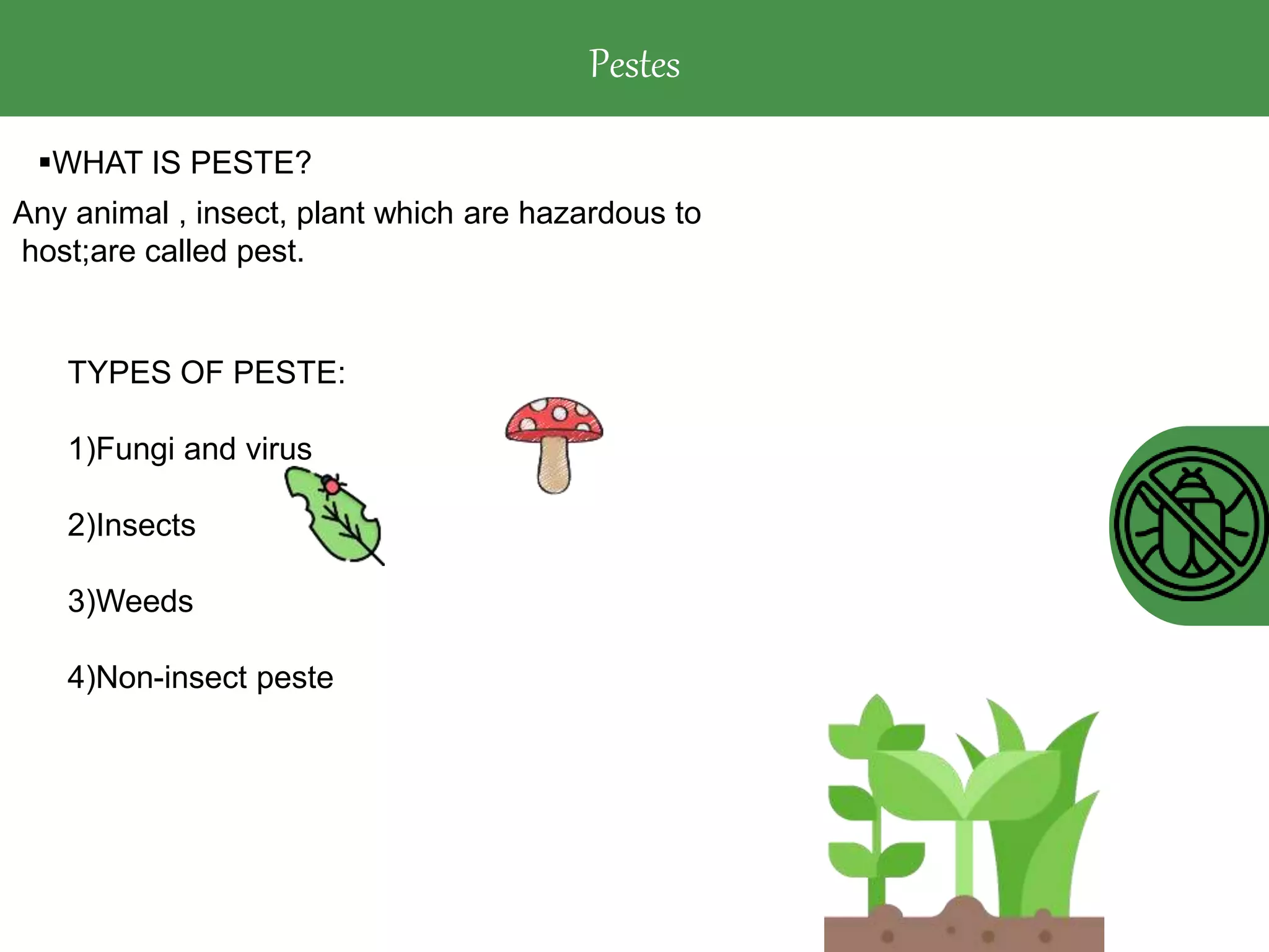 paste and paste control 2.ppt