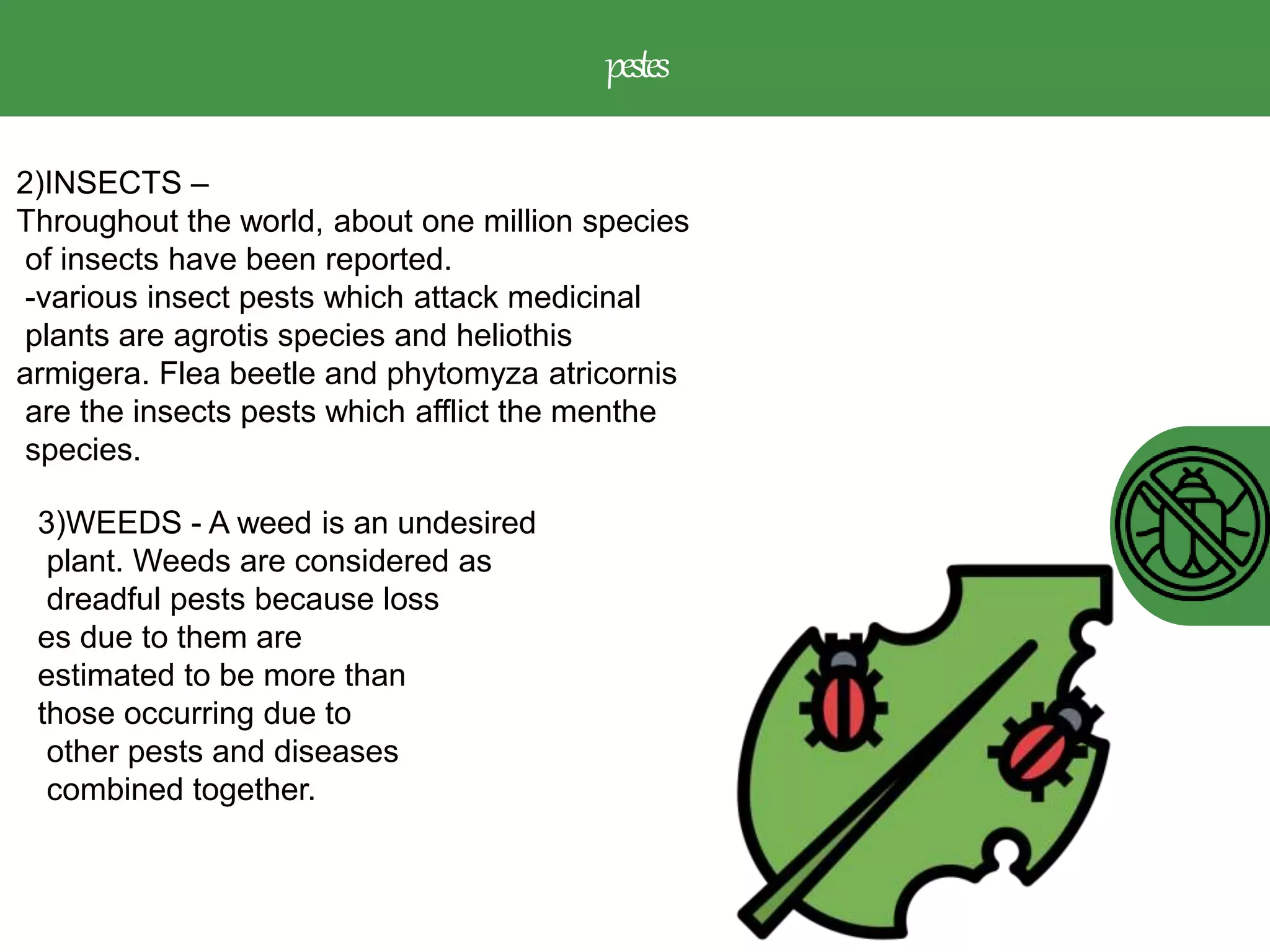 paste and paste control 2.ppt